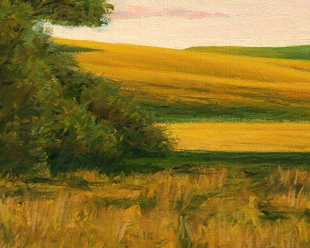 EVENING FIELDS – Thomas Clements Art